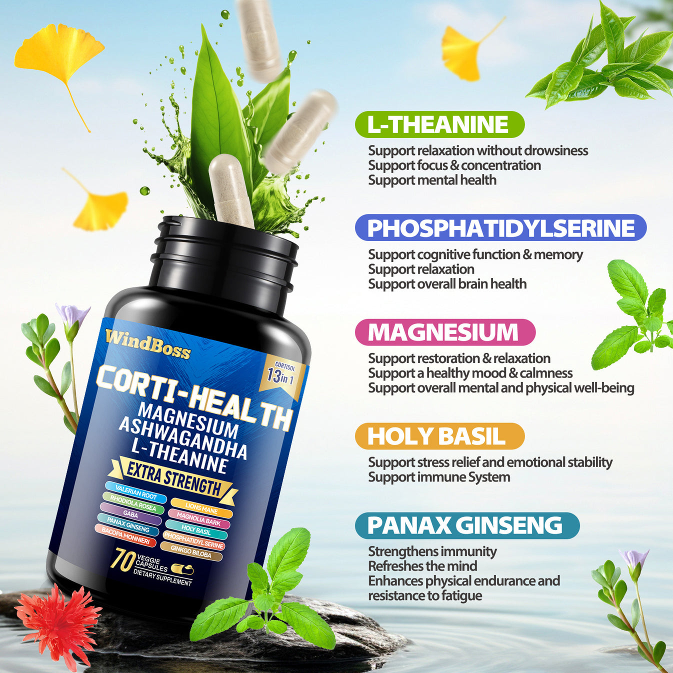 WindBoss.Cortisol-Support & Myo-Inositol Multivitamin Combo | Extra St